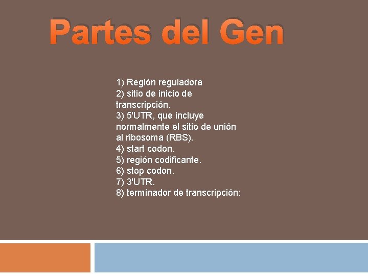 4 3 Estructura de los genes procariotas Transcripcin