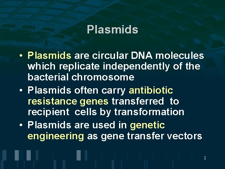 8 The Genetics of Bacteria and Their Viruses