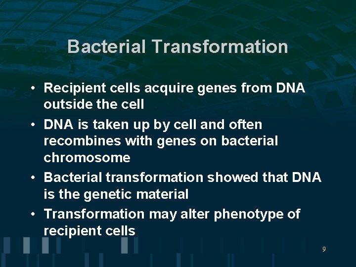 8 The Genetics of Bacteria and Their Viruses
