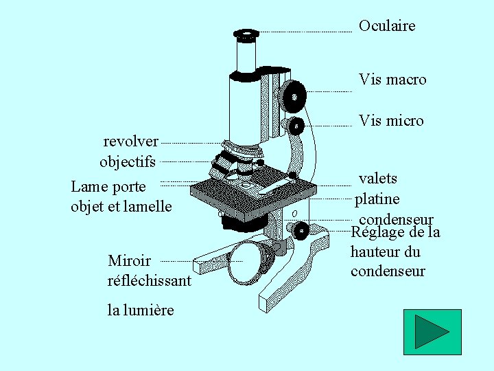 LE MICROSCOPE OPTIQUE DETAILS oculaire Statif Manette bino