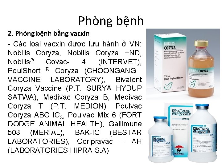 Bnh IC 1 Hnh thi cu trc Gram