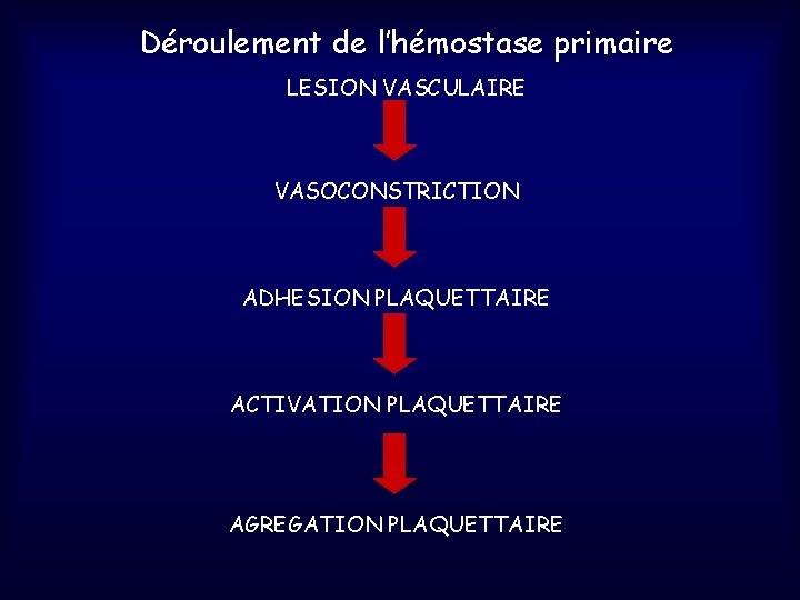 Cours dHmostase DUT ABB 1 Physiologie de lHmostase