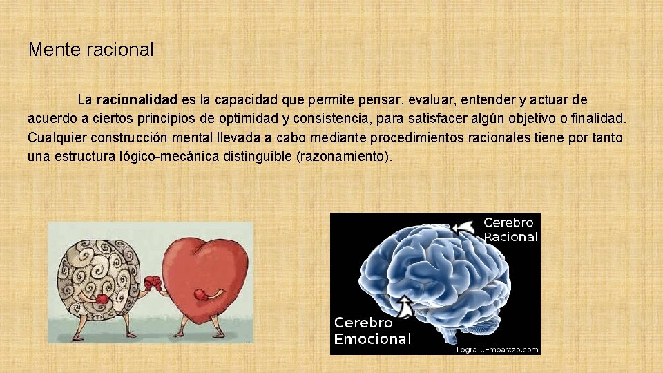 El psicoanlisis de Freud Mente racional La racionalidad