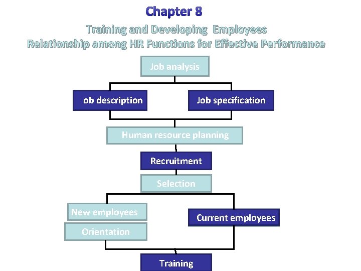 Chapter 8 Training and Developing Employees Relationship among
