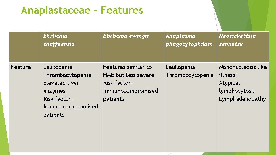 Rickettsial infectionsII Dr Mohit Bhatia Assistant Professor Department