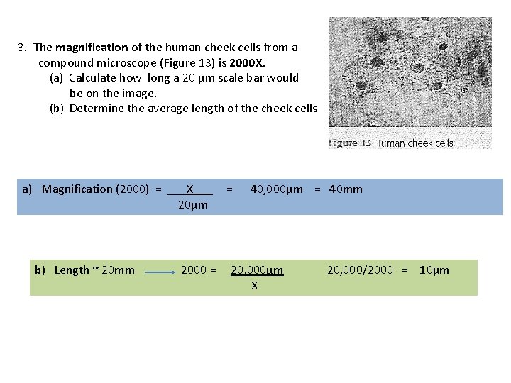 MAGNIFICATIONS SCALES SI UNITS 1 meter m 1