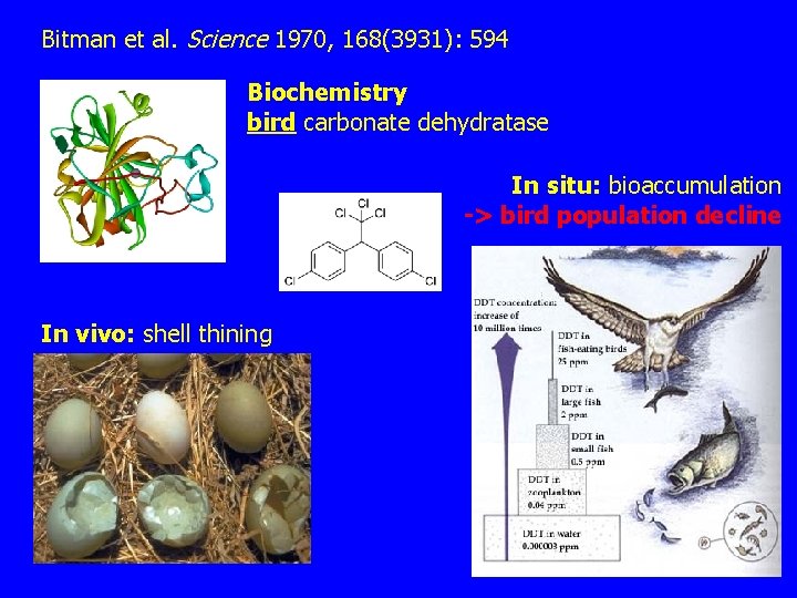 Biomarkers and mechanisms of toxicity Course summary 1
