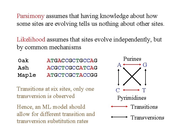Lecture 5 Maximum Likelihood and model selection Joe
