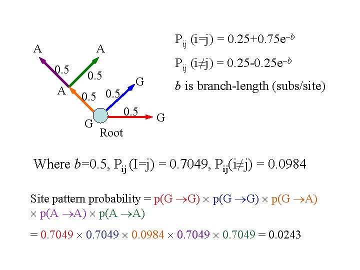 Lecture 5 Maximum Likelihood and model selection Joe