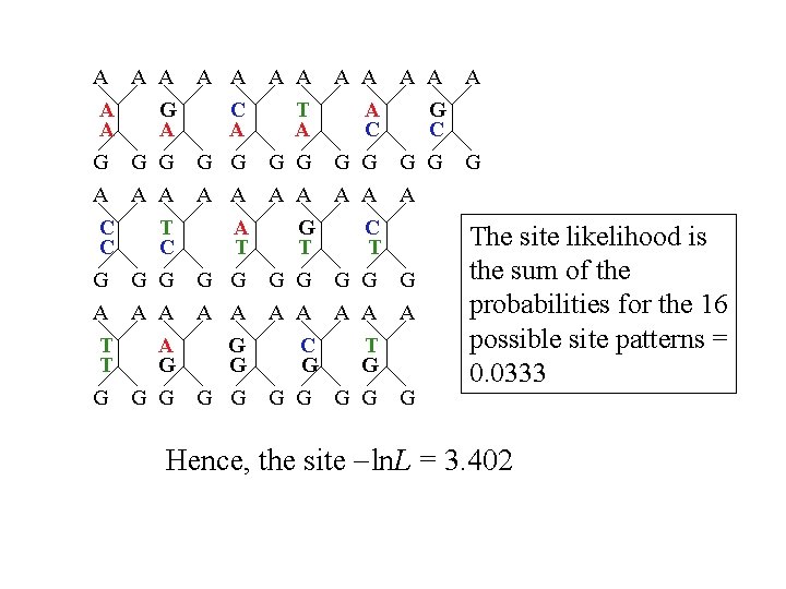 Lecture 5 Maximum Likelihood and model selection Joe