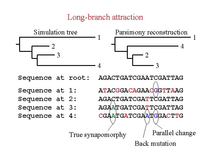Lecture 5 Maximum Likelihood and model selection Joe