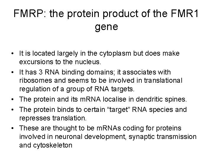 FMRP the protein product of the FMR 1