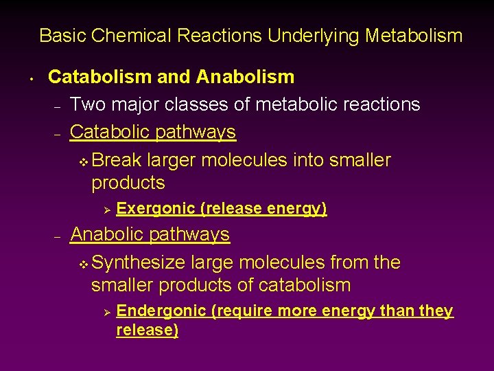 The Digestive System and Body Metabolism Chapter 14