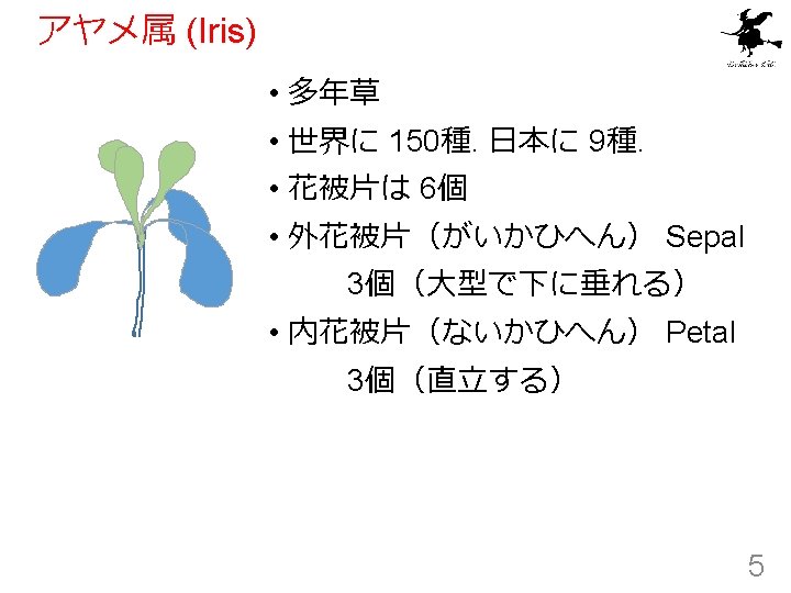 Sepal Length Sepal Width libraryggplot 2 ggplotiris aesxSepal