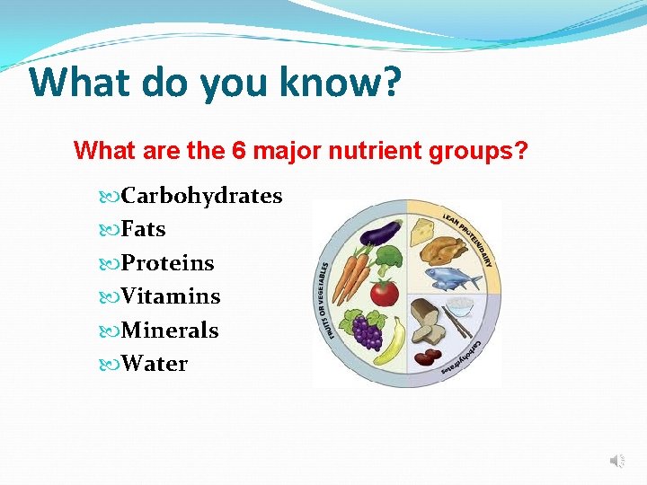 Essential Nutrients Grade 7 Health Ms Kay What