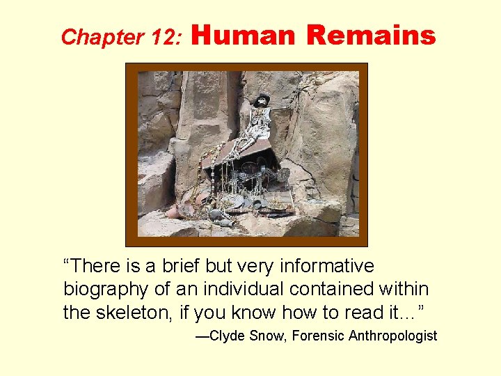 Chapter 12 Human Remains There is a brief