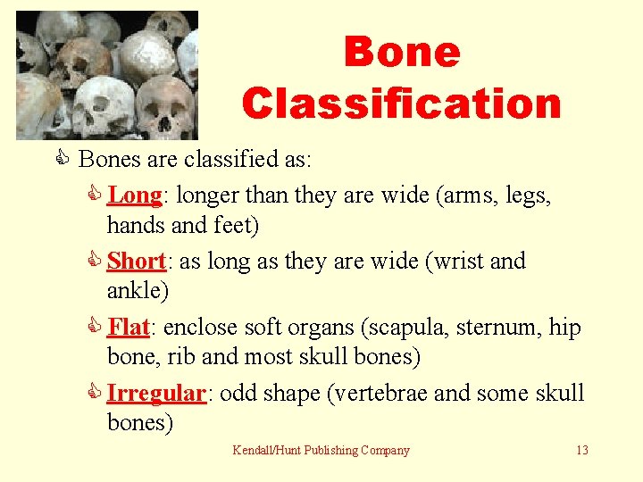 Chapter 12 Human Remains There is a brief