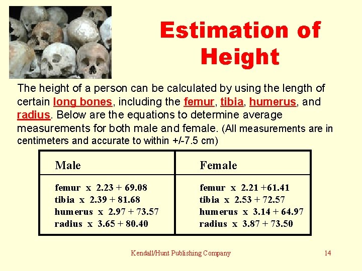 Chapter 12 Human Remains There is a brief