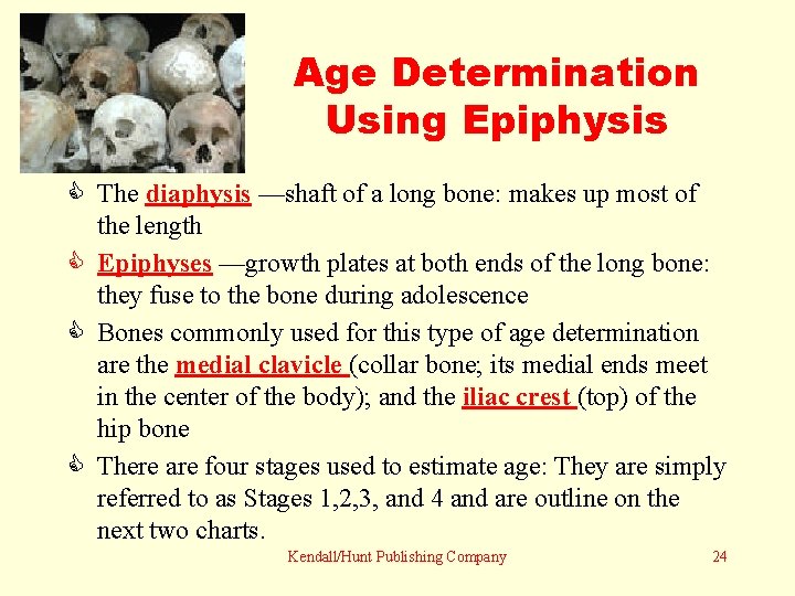 Chapter 12 Human Remains There is a brief
