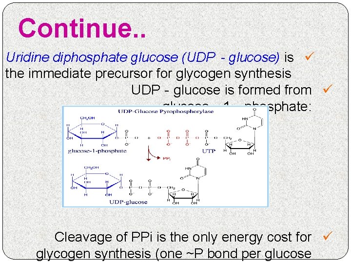 Glycogen Metabolism Dr Sooad AlDaihan Biochemistry department Glycogen