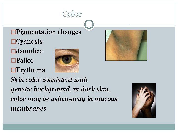NRS 103 Skin Hair and Nails Chapter 9