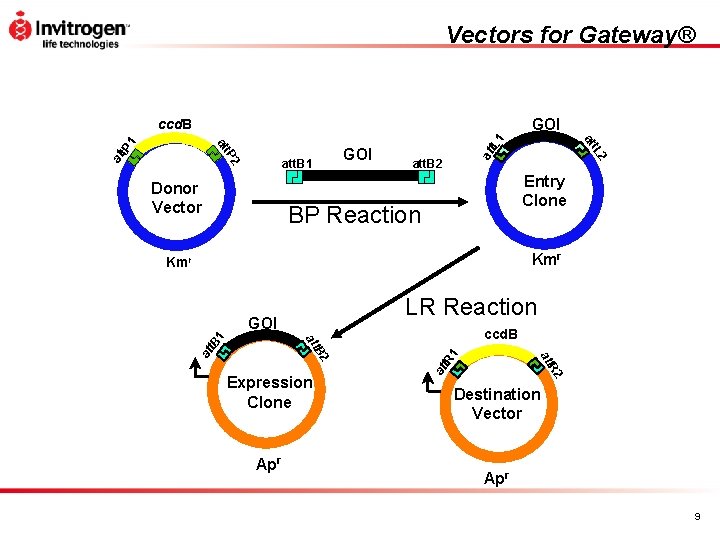 Gateway Technology A Conduit to Proteomics KDR Biotech