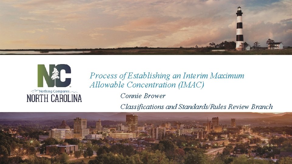 Process of Establishing an Interim Maximum Allowable Concentration