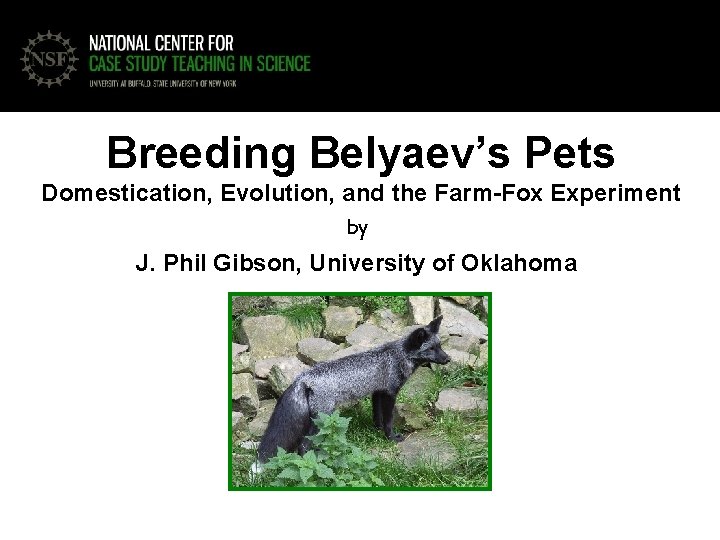 Breeding Belyaevs Pets Domestication Evolution and the FarmFox