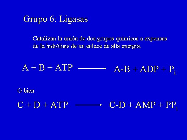 Clasificacin y nomenclatura de enzimas Reacciones enzimticas Nombre