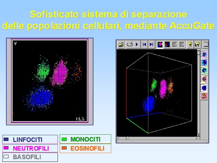 Lesame emocromocitometrico EE tra gli esami di laboratorio