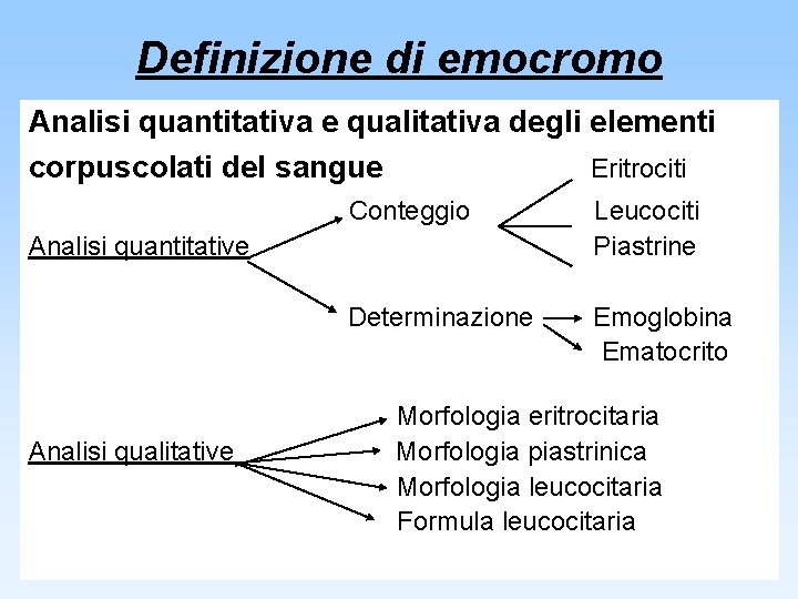 Lesame emocromocitometrico EE tra gli esami di laboratorio