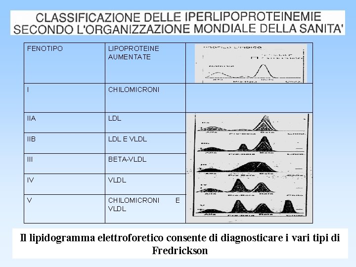 Lesame emocromocitometrico EE tra gli esami di laboratorio