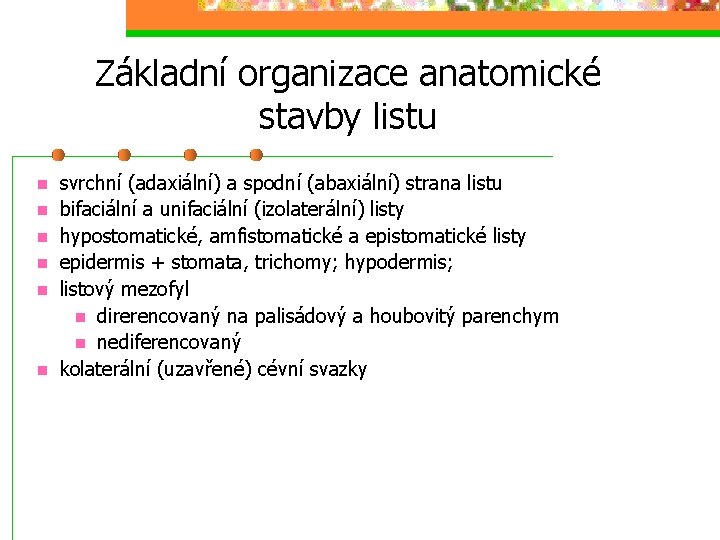 Organologie III Anatomick stavba listu Zakldn list na