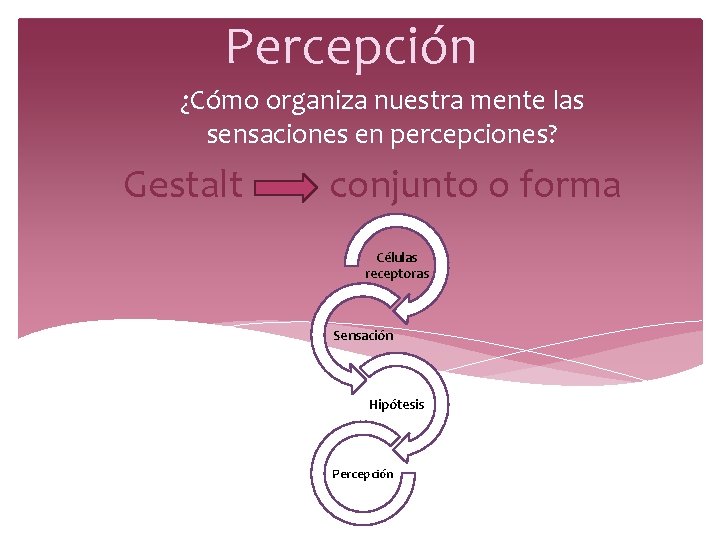 Proceso perceptual en el desarrollo del aprendizaje Sensacin