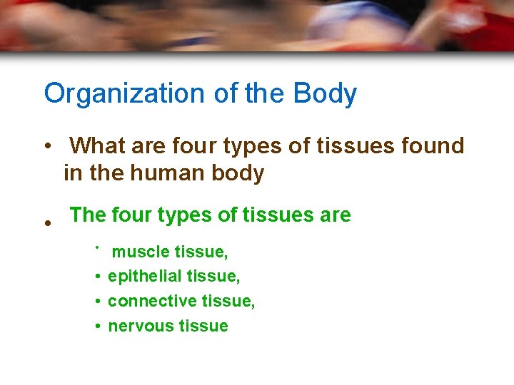 Human Body Systems Section 35 1 Human Body