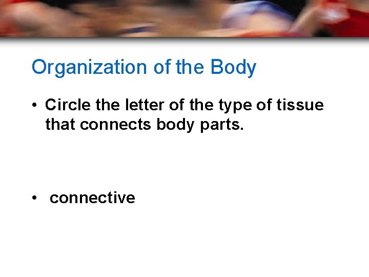 Human Body Systems Section 35 1 Human Body