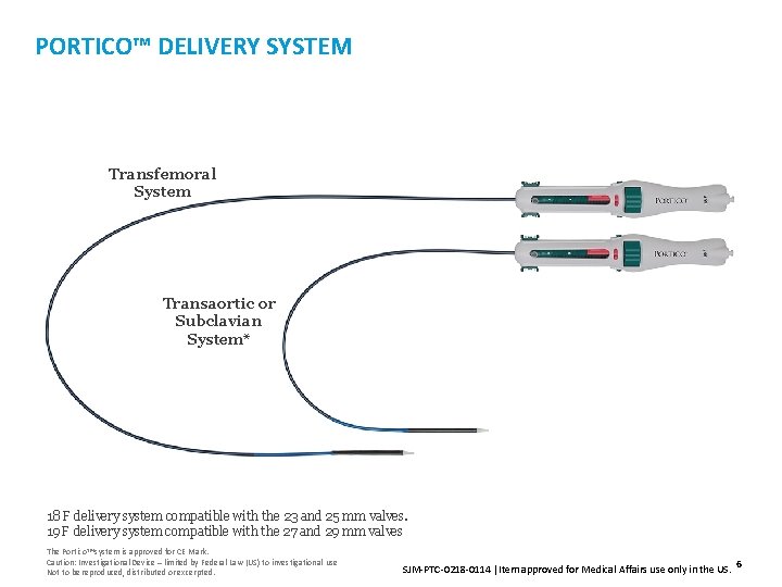 2018 GLOBAL PORTICO PROGRAM UPDATE Portico Transcatheter Aortic