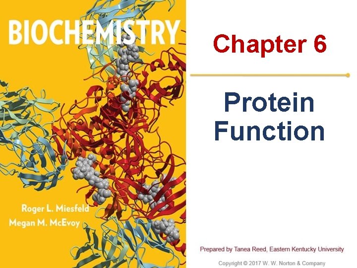 Chapter 6 Protein Function 6 1 The Five