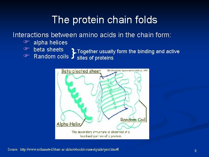 Rational Drug Design Using the 3 D Shape