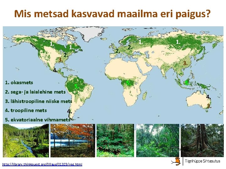 Maailma metsatstus Avaldatud Creative Commonsi litsentsi Autorile viitamine