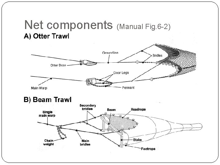 Beam Trawl Vs Otter - The Best Picture Of Beam