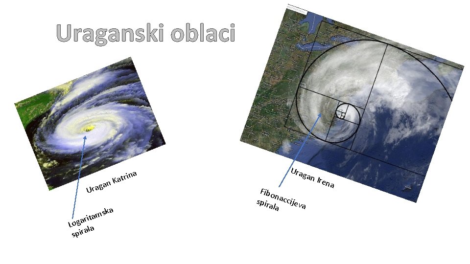 Svijet spirala Vrste spirala Arhimedova spirala Logaritamska spirala