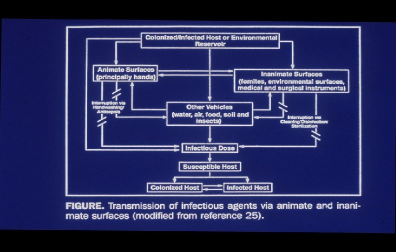 The Benefits of Surface Disinfection William A Rutala