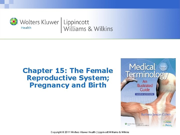 Chapter 15 The Female Reproductive System Pregnancy and