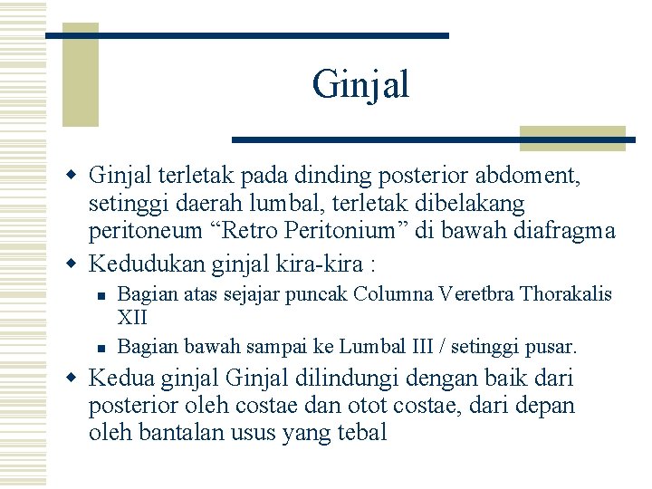 SISTEM URINARIA Sistem Urinaria w Sistem urinaria terdiri