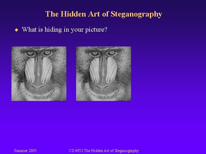 The Hidden Art of Steganography What is hiding
