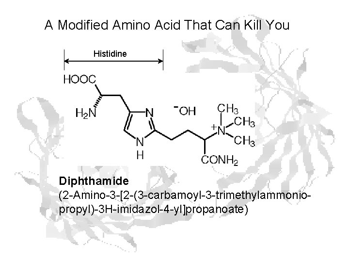CH 339 K Proteins Amino Acids Primary Structure