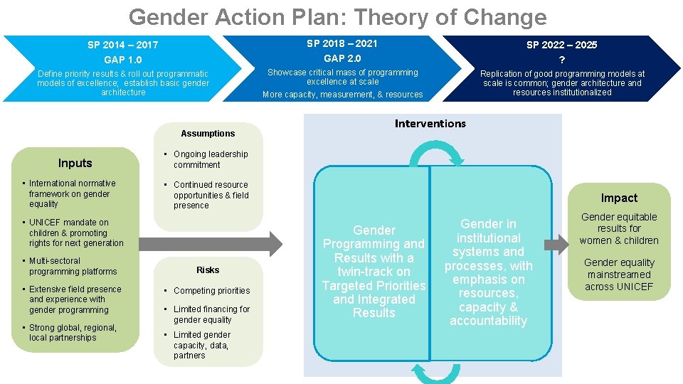 UNICEF Gender Action Plan 2018 2021 Working Draft