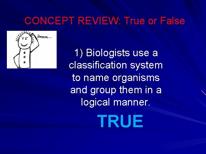 Classification Taxonomy What do YOU call this animal