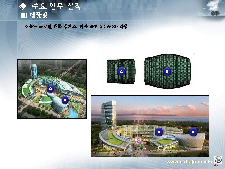 CAE FMH FMVSS 201 FMHFree Motion Head Form